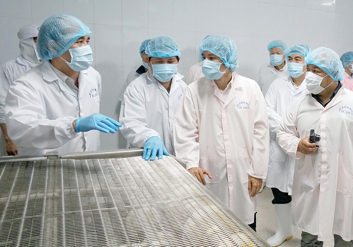 Trồng rừng đước nuôi tôm - Tuổi Trẻ Online