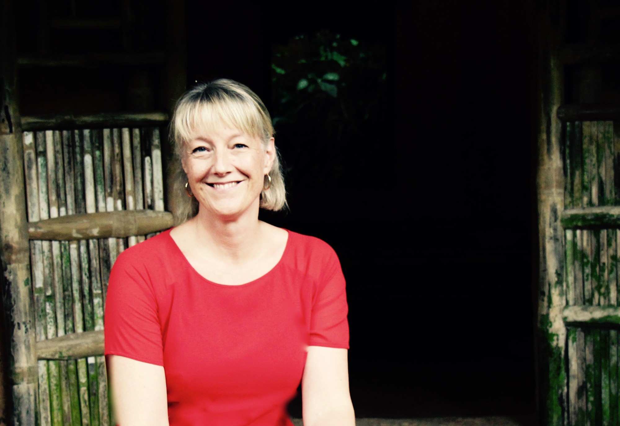 Anna Högberg: Phu nhân đại sứ kiêm nghệ sĩ jazz - Tuổi Trẻ Online
