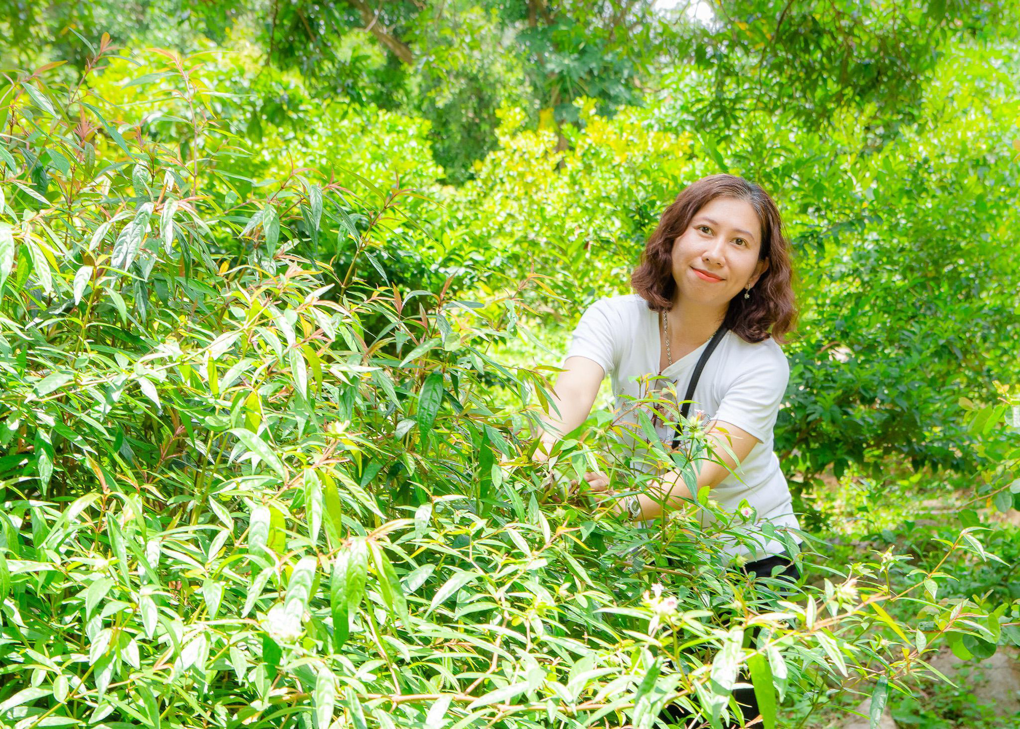 'Cuốn… rau rừng' gây thương nhớ - Tuổi Trẻ Online