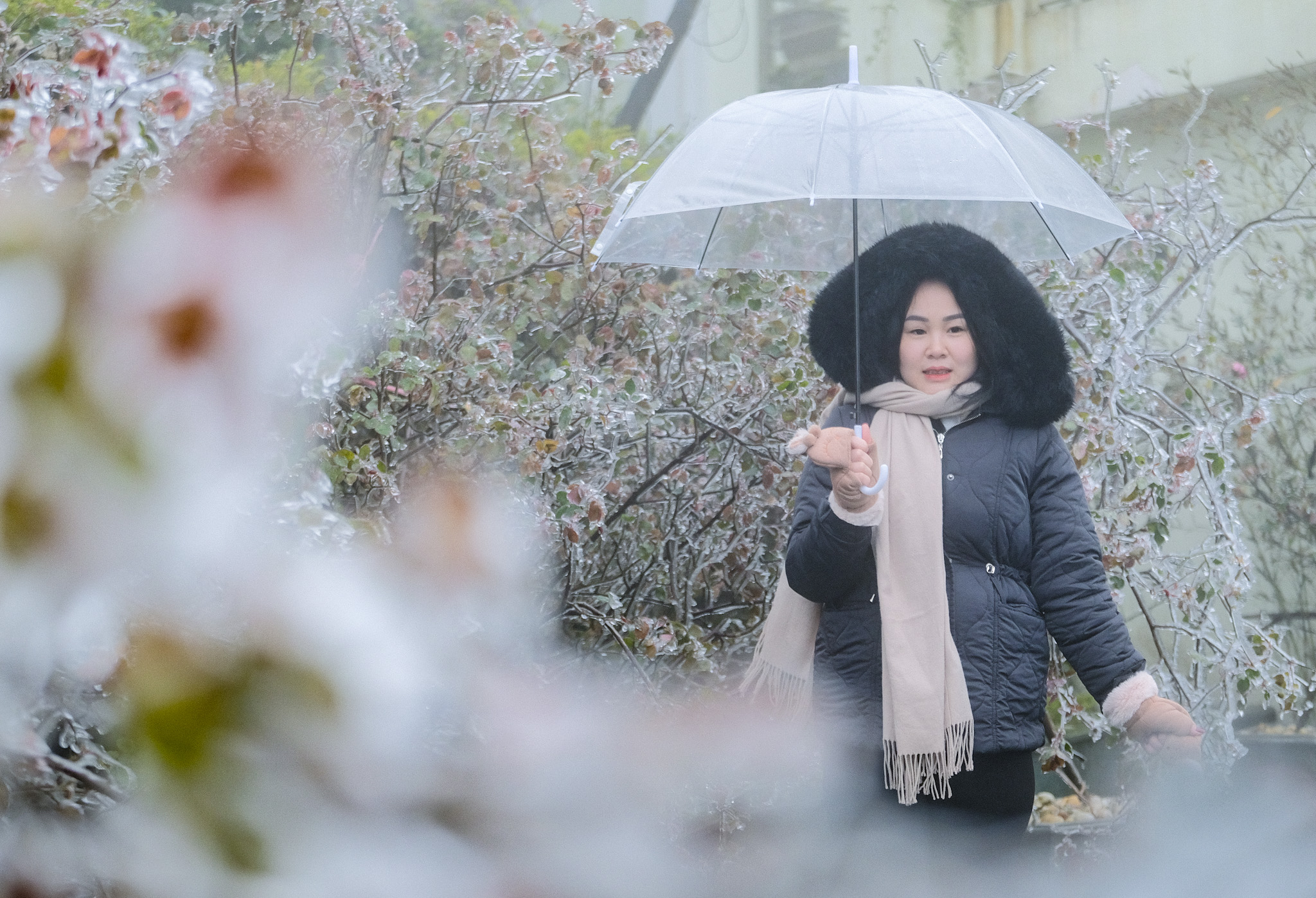 Miền Bắc sắp rét đậm, rét hại diện rộng, miền Trung mưa to - Tuổi Trẻ ...