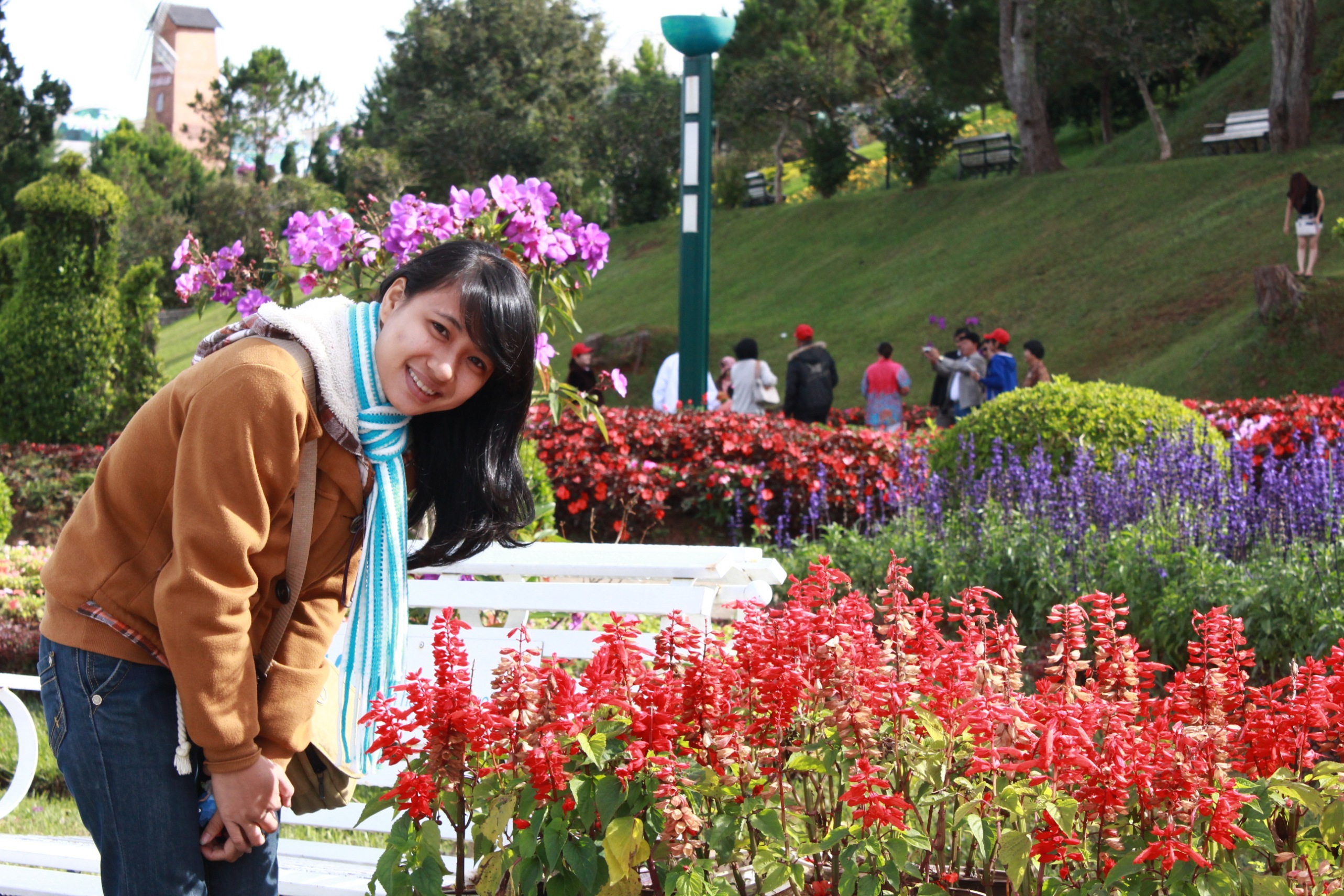 'Đà Lạt ơi, xin ráng giữ lại vẻ đẹp rừng trong phố' - VozForums