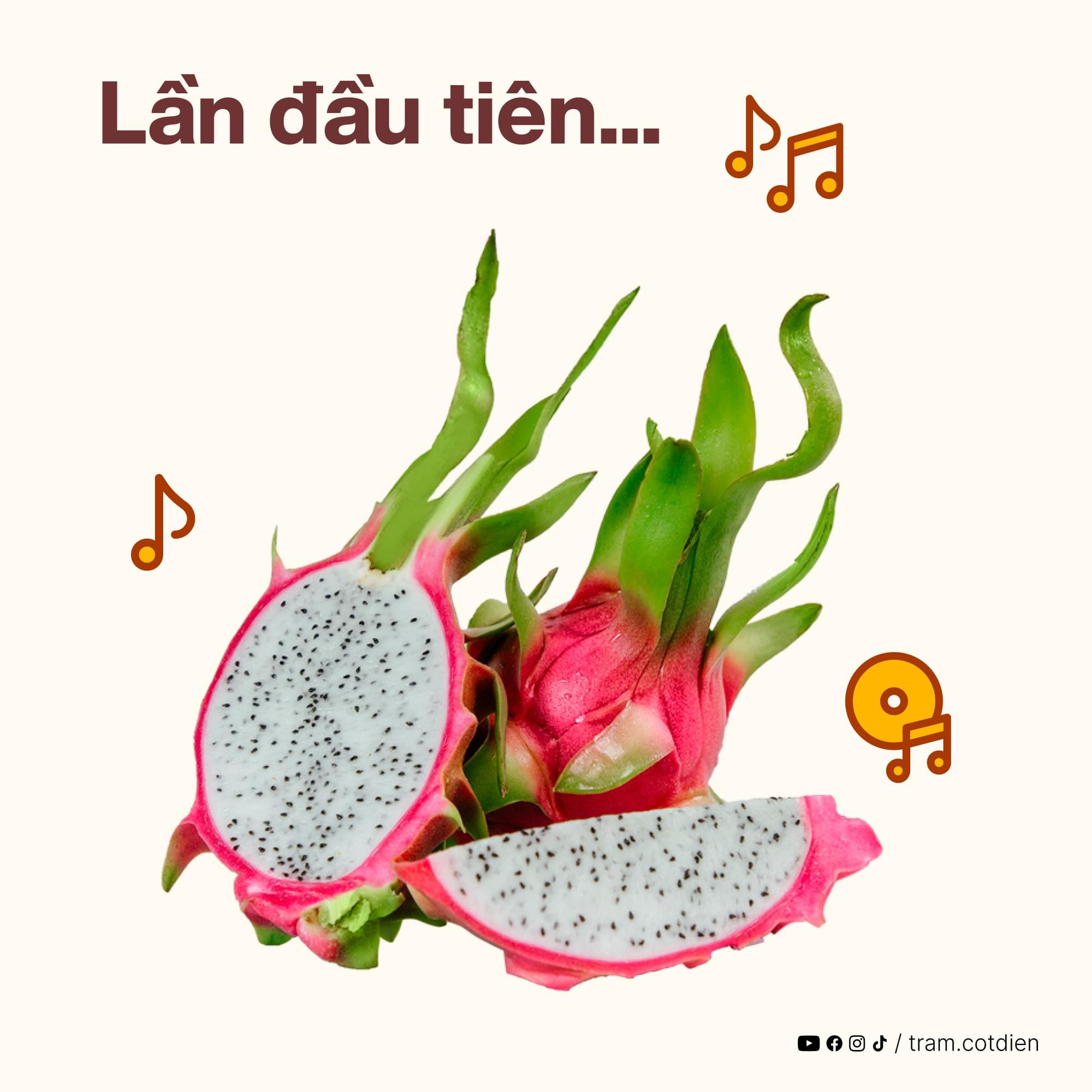 Mì tôm thanh long - lần đầu tiên, có giai điệu quảng cáo mì gói khiến gen Z hát theo liên tục ...