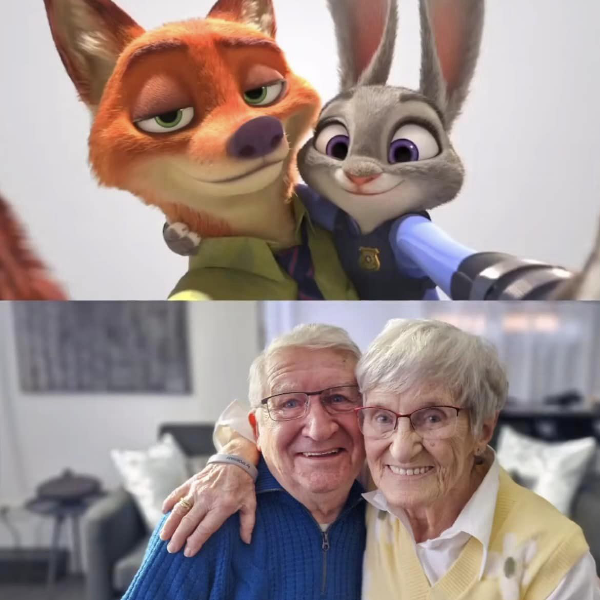 Bộ ảnh kỷ niệm 61 năm ngày cưới phong cách Zootopia của cặp đôi U90 gây ...