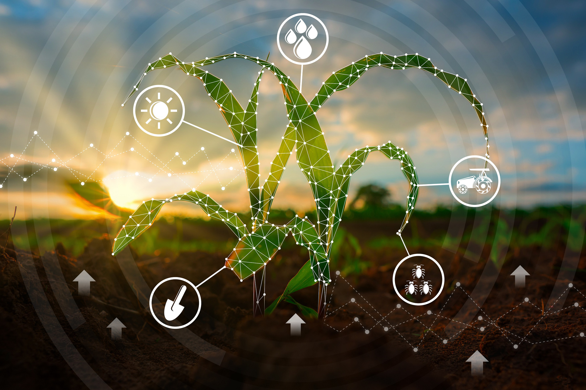 TTC AgriS thúc đẩy xu hướng thực phẩm Plant-based - Tuổi Trẻ Online