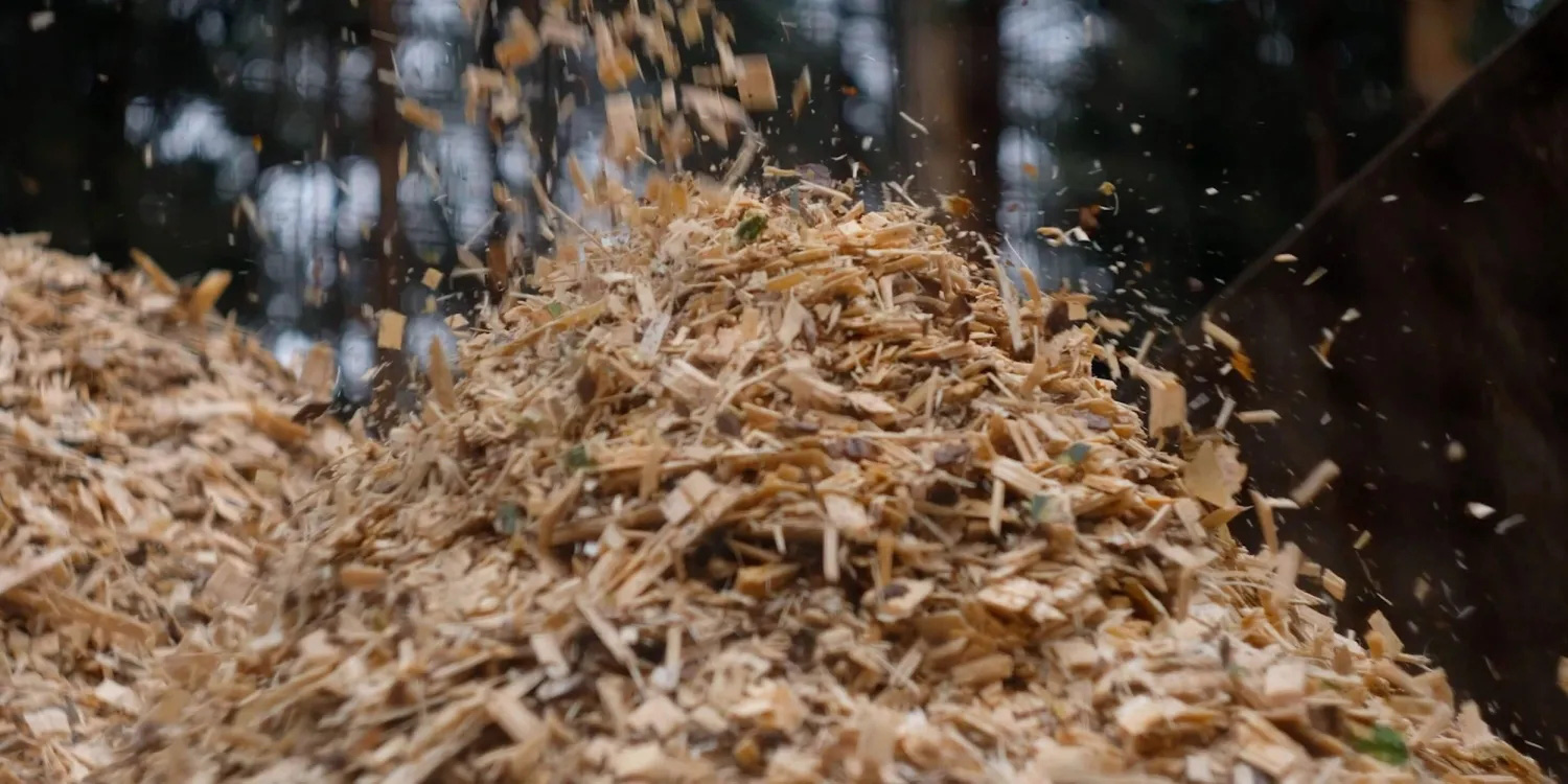 Than chì từ mùn cưa có thể sớm xuất hiện trong pin xe điện - Tuổi Trẻ ...