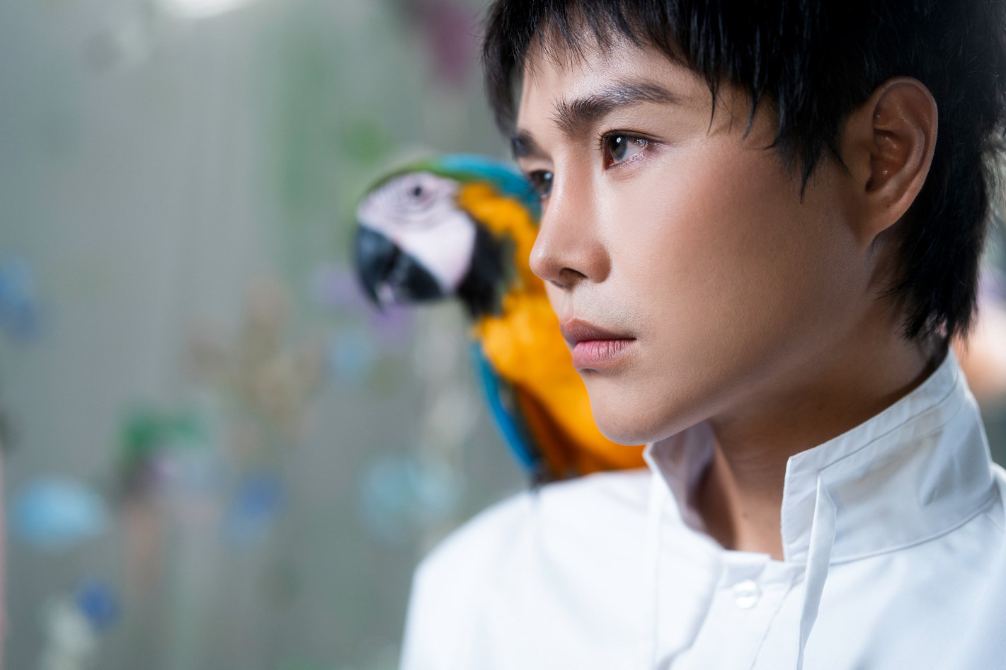 Tăng Duy Tân tung MV cùng Bích Phương vì... hỗ trợ qua lại - Tuổi Trẻ ...