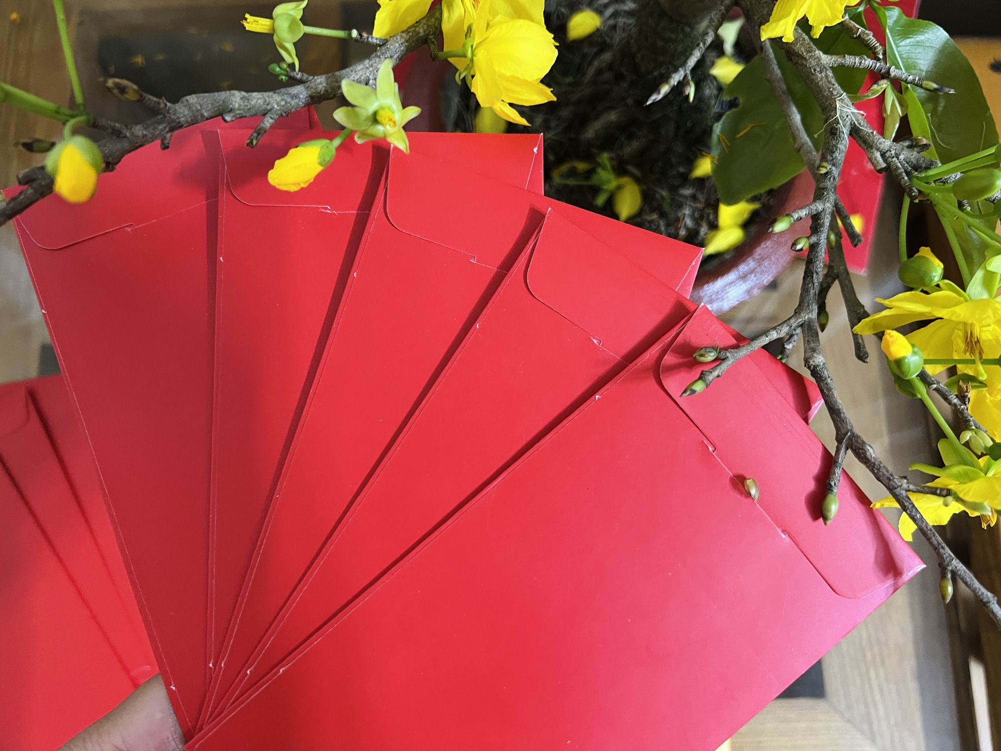 Lì xì gì mà có 50.000 đồng: Bạn trẻ có nên lì xì? - Tuổi Trẻ Online