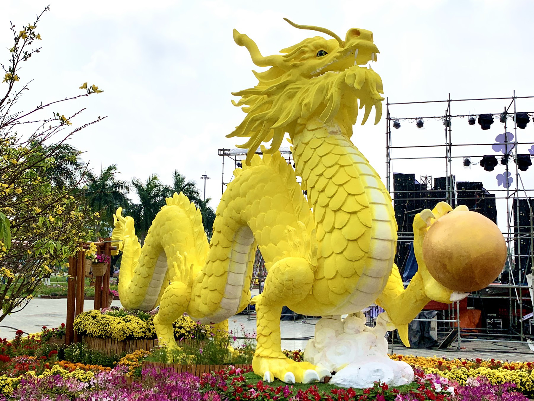 Công nhân canh giữ cặp rồng vàng Quảng Nam giữa rừng hoa Tết - Tuổi Trẻ ...