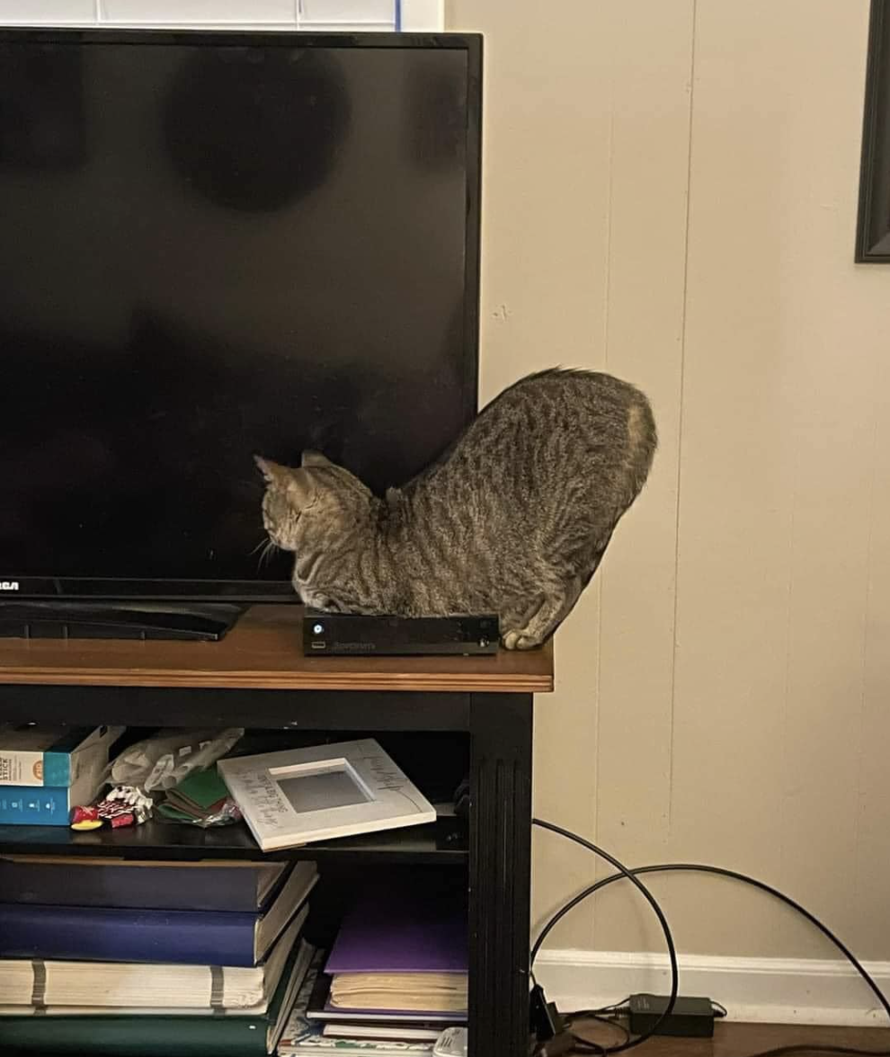 Ảnh vui 21-3: Khi đàn ông chỉ là những đứa trẻ to xác - Tuổi Trẻ Online