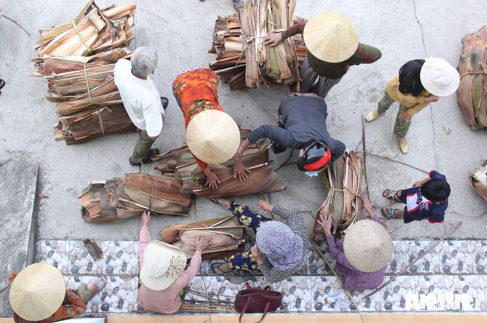 Hành trình lột xác của chiếc mo cau - Tuổi Trẻ Online