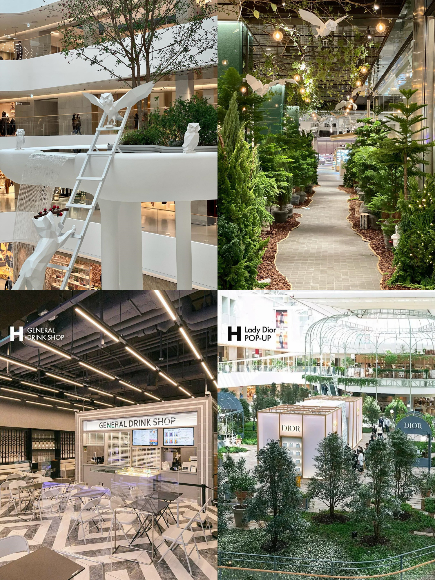 Du lịch Hàn Quốc qua Queen of tears và loạt phim Hàn