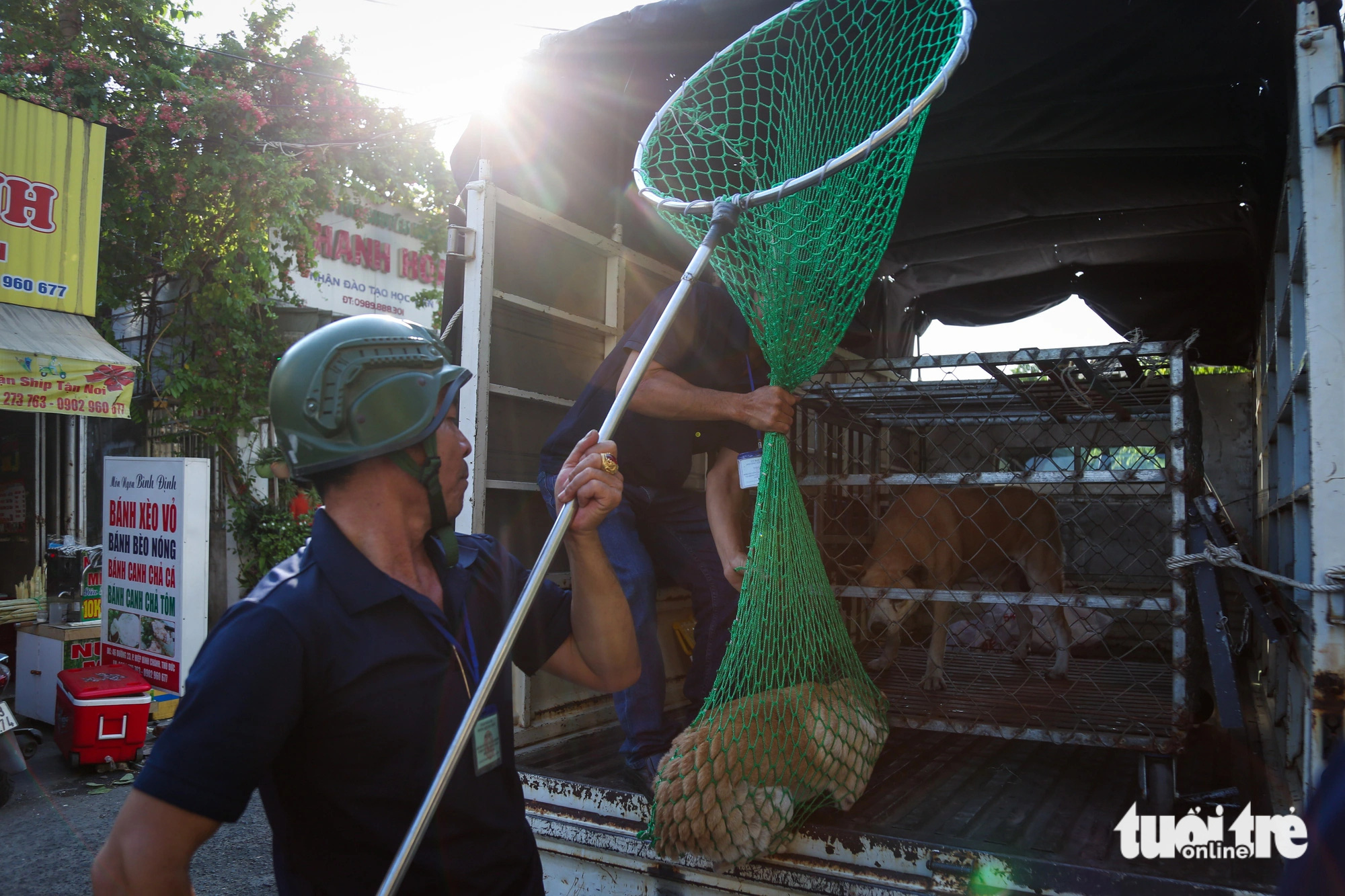 Thấy đội bắt chó thả rông, chủ chó bật khóc nức nở - Tuổi Trẻ Online