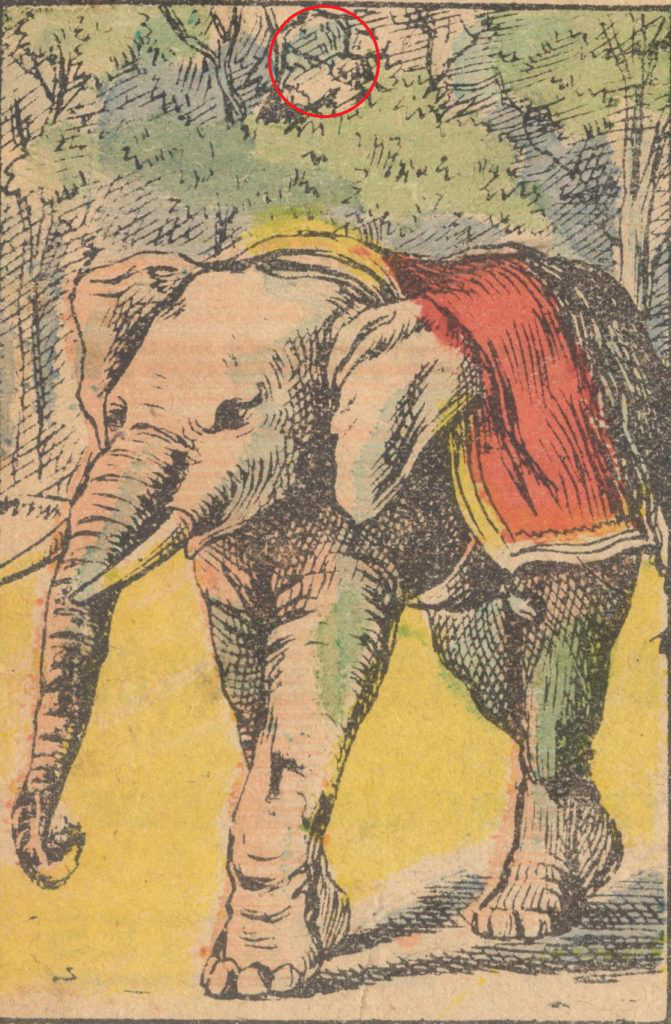 Thử tài tinh mắt: Chủ nhân của con voi đang ở đâu? - Tuổi Trẻ Online