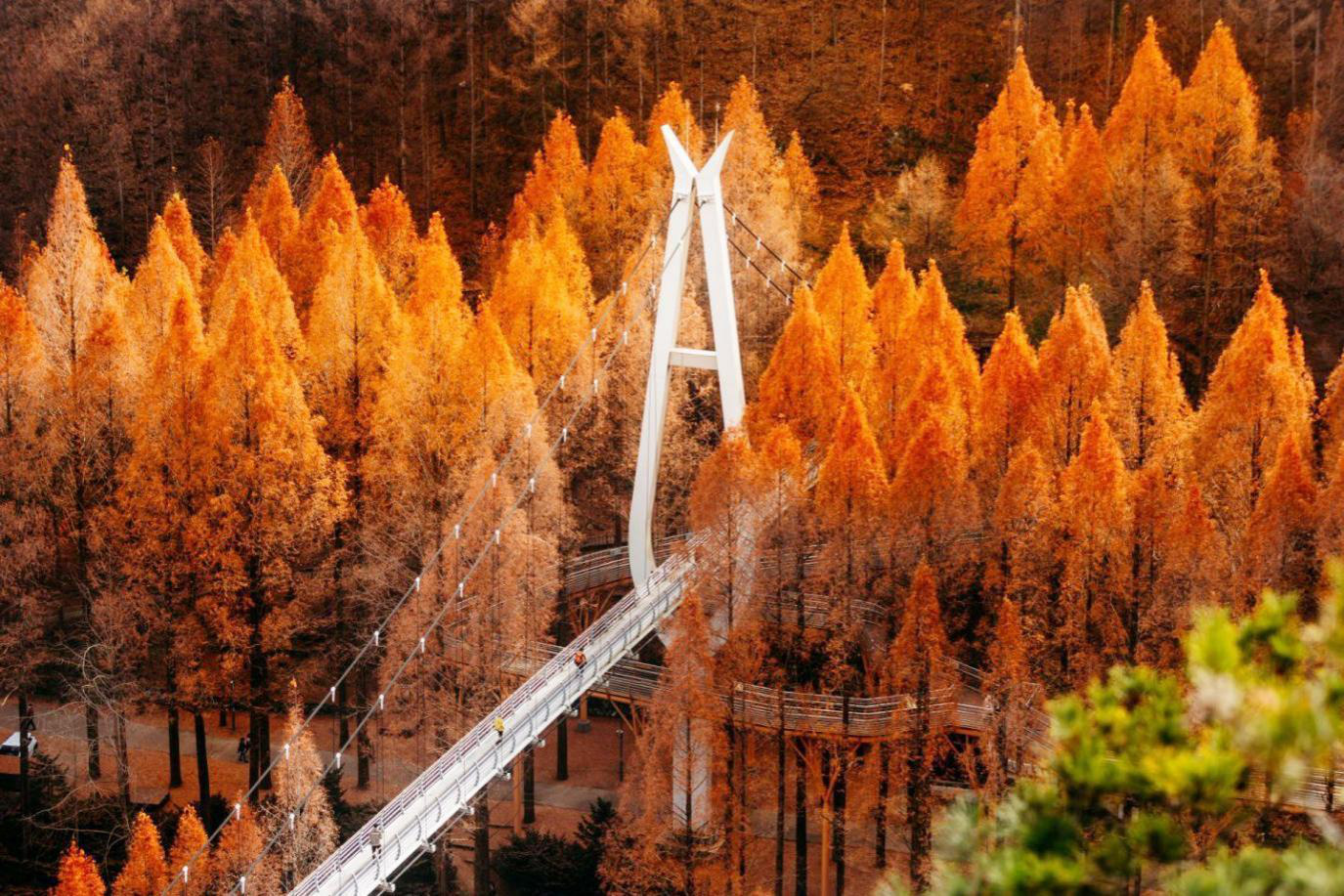 AdenZ Travel giới thiệu tour Hàn Quốc mùa thu không shopping - Tuổi Trẻ ...