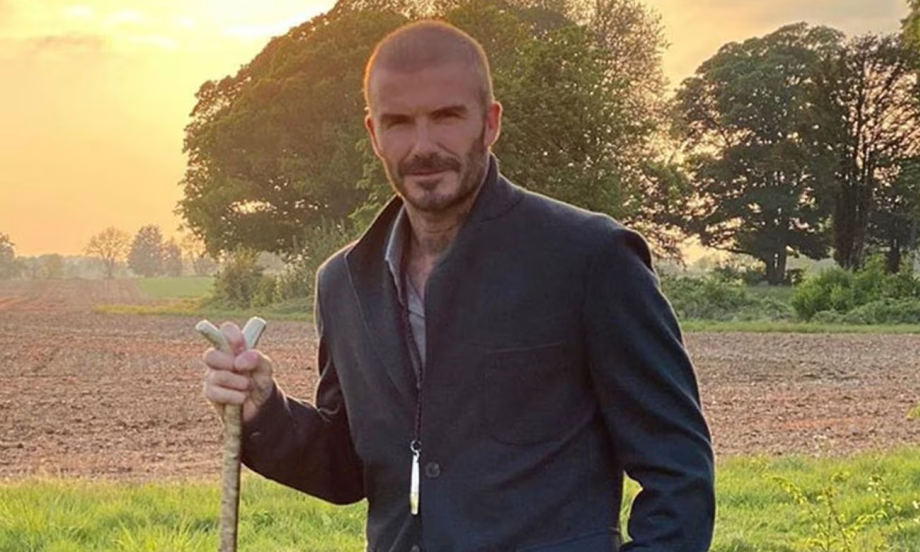 Beckham trồng rau nuôi gà như nông dân, Victoria đòi 'trả chồng lại cho ...