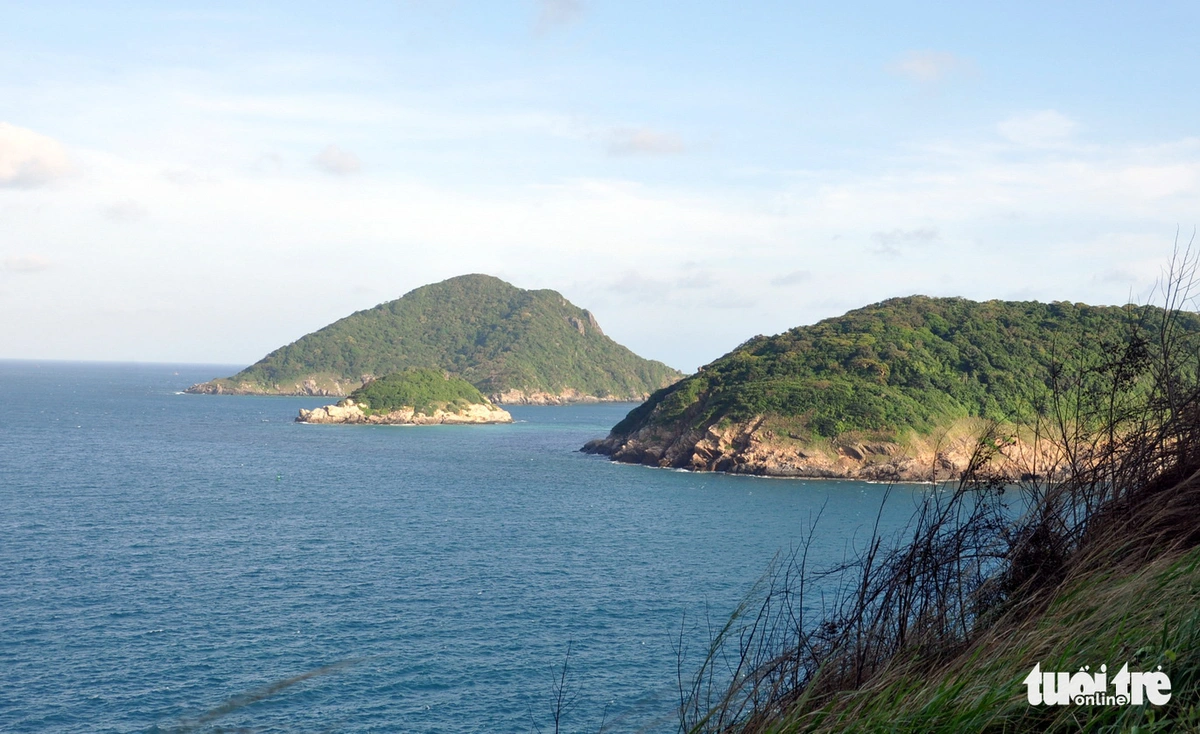 Côn Đảo - ‘ngôi nhà’ an toàn của rùa biển - Tuổi Trẻ Online