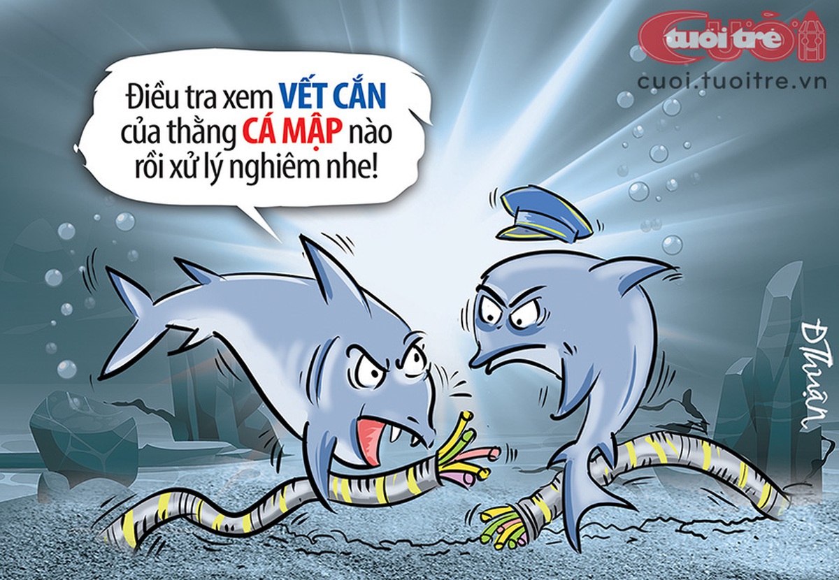 Thám tử cá mập điều tra vụ đứt cáp - Tuổi Trẻ Online