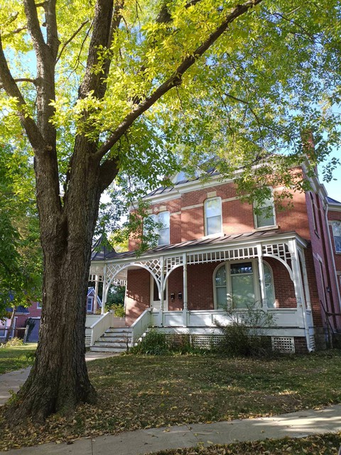 Văn chương, hạt dẻ và con mèo - Tuổi Trẻ Online