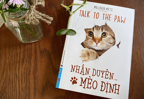 Nhân duyên Mèo định: Cuộc đời qua lăng kính thật nhởn nhơ, hồn nhiên ...