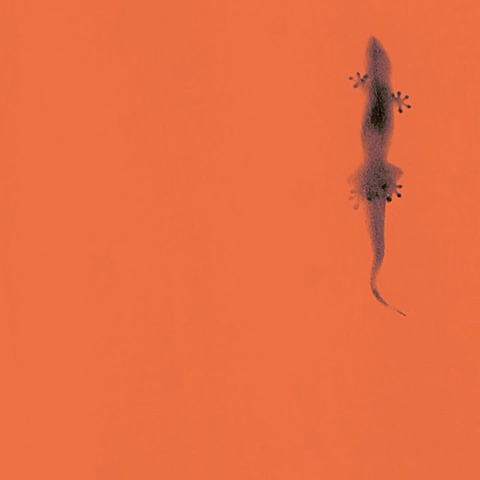 Cái đầu tiên của Thắng (Ngọt) và trật tự của sự mất trật tự - Tuổi Trẻ ...