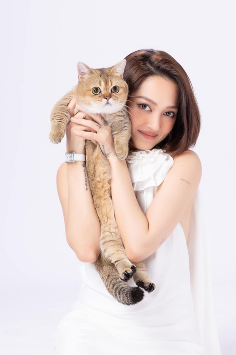 Body shaming tràn ngập mạng xã hội: 'Đùa thôi' nhưng sao ác thế? - Tuổi ...