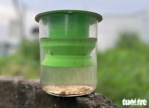 Bẫy muỗi Mosla của nhà sáng chế mới học hết lớp 8 - Tuổi Trẻ Online