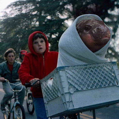 Tuyển tập meme của bé hà mã đáng yêu Moo Deng - Tuổi Trẻ Online