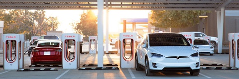 Nữ tướng Rebecca Tinucci thầm lặng 'gồng gánh' Tesla thay Elon Musk ...