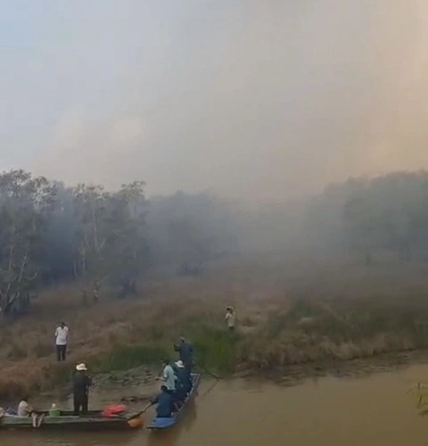 Đã cơ bản dập tắt đám cháy trong Vườn quốc gia Tràm Chim - Tuổi Trẻ Online