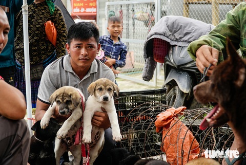 Livestream bán chó ở chợ phiên Bắc Hà, thu nhập bạc triệu mỗi buổi ...