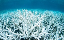 crazy time roulette rules-hi-IN V 1.34