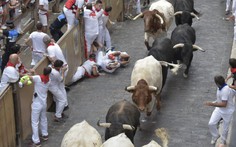 Đàn bò tót đẹp đến sững sờ ở Nam Cát Tiên đã lọt vô ống kính Tăng A Pẩu ...