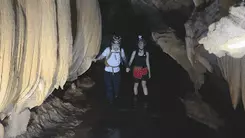 Thông tin thêm về sinh vật lạ trong hang động ở Phong Nha - Kẻ Bàng ...