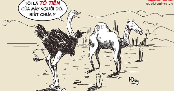 Sự tích con lạc đà - Tuổi Trẻ Online