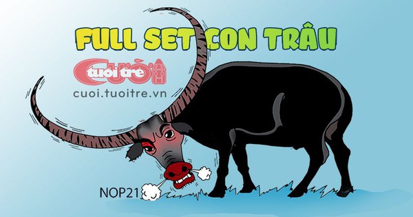 Hướng dẫn ăn Tết Tân Sửu full set con trâu - Tuổi Trẻ Online