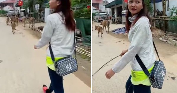 H'Hen Niê bận... chăn bò, từ chối khi người dân mời vô nhà chơi - Tuổi ...