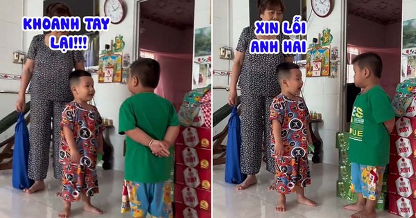 Anh trai quyền lực dạy dỗ em trai