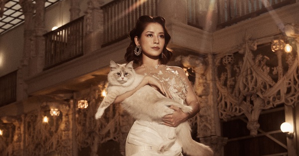 Chi Pu hóa thân thành 'Nữ hoàng của loài mèo' - Tuổi Trẻ Online