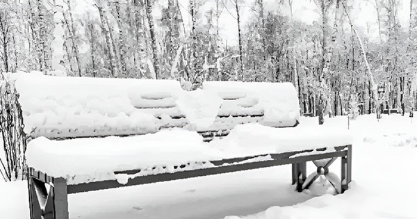 Người tinh mắt mới thấy con thỏ ở đâu - Tuổi Trẻ Online