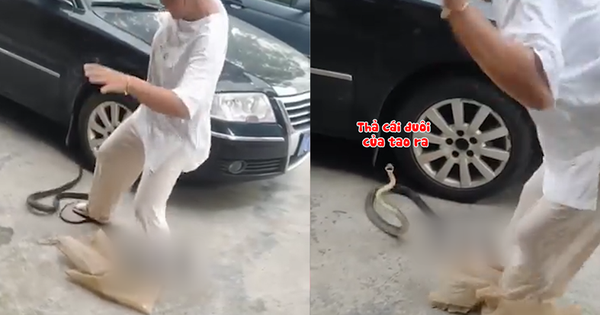 Con rắn hoảng sợ khi cô gái la hét