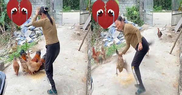 Người phụ nữ giả vờ hóa tượng để bắt gà
