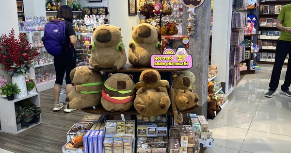 Capybara khuấy đảo mùa hè, tạo nên cơn sốt phụ kiện hot trend