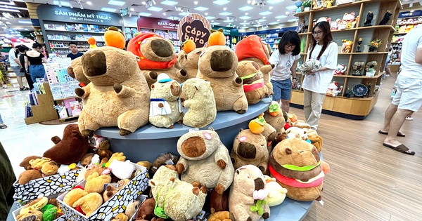 Lên Đà Lạt diện kiến Capybara - chú chuột lang nước hot trend